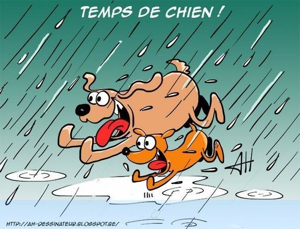 dessin de Ah - temps de chien